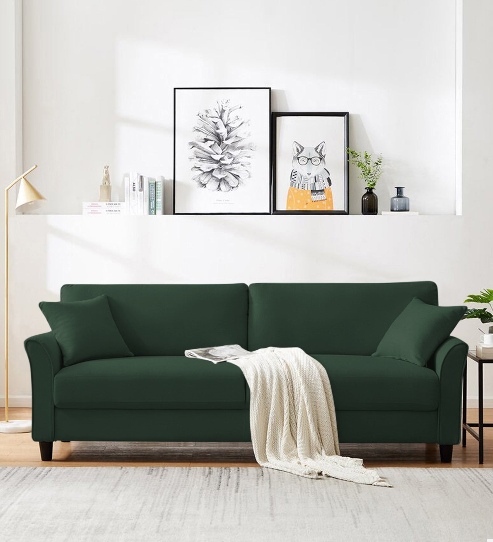 Daroo Velvet 3 Seater Sofa In Amazon Green Colour