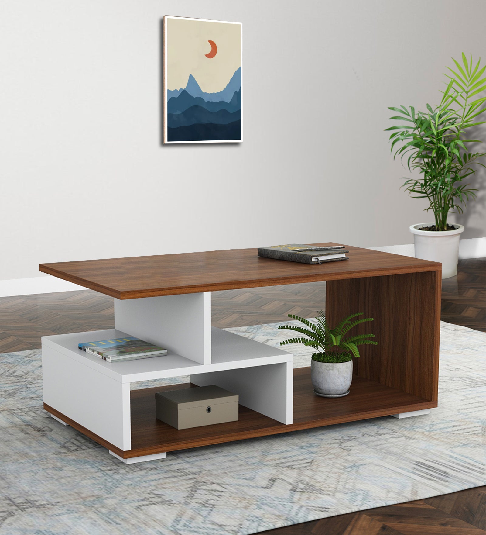 Clove Coffee Table In Oral Walnut & Frosty White Finish